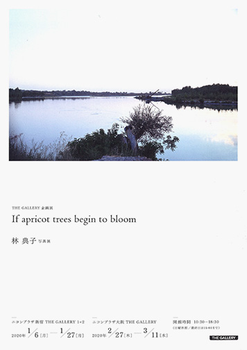 林典子「If apricot trees begin to bloom」：artscapeレビュー｜美術館・アート情報 artscape