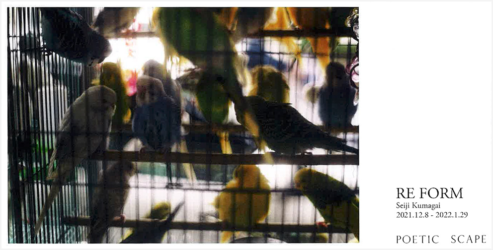 熊谷聖司「RE FORM」：artscapeレビュー｜美術館・アート情報 artscape